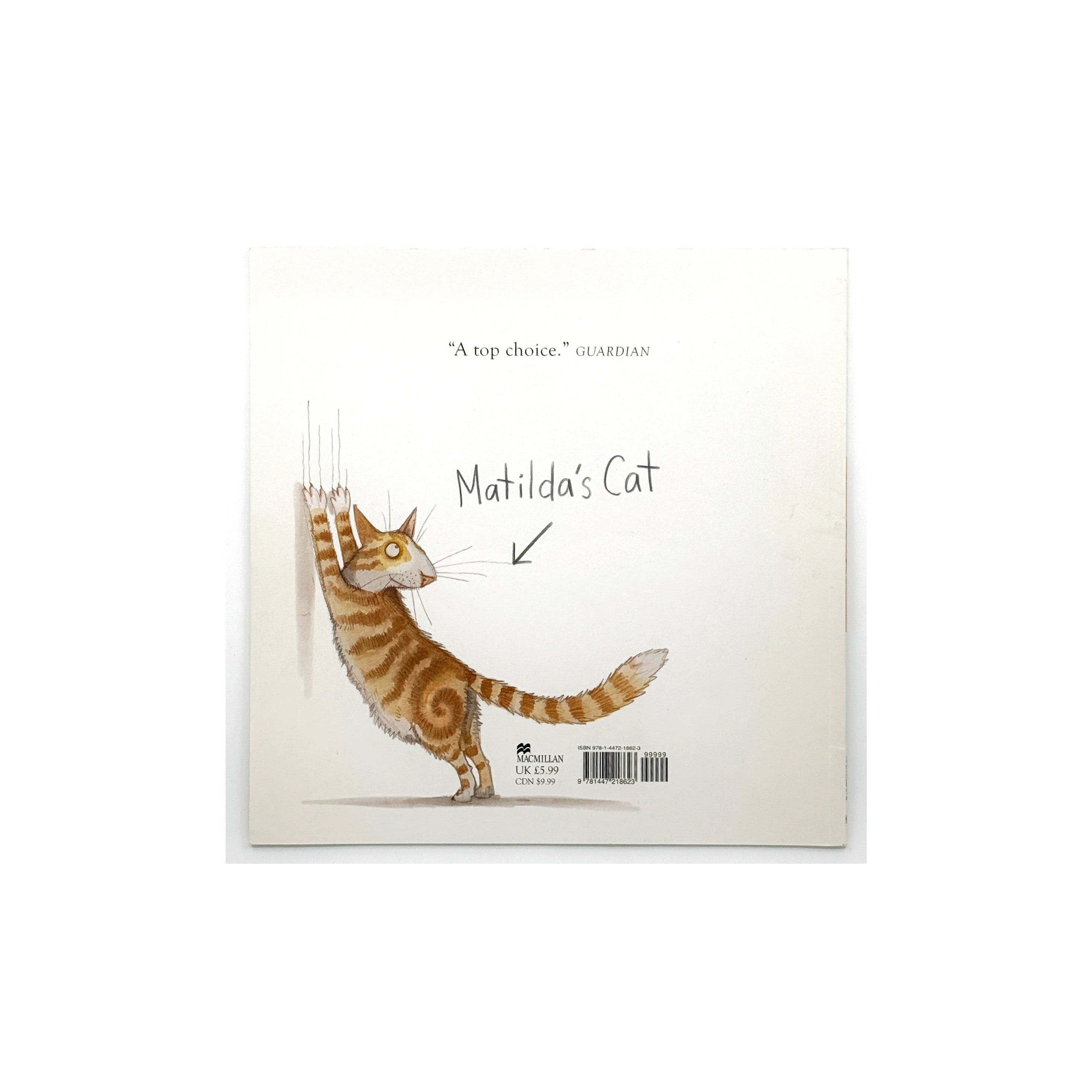 Matilda's Cat by Emily Gravett – Little Modern Reader