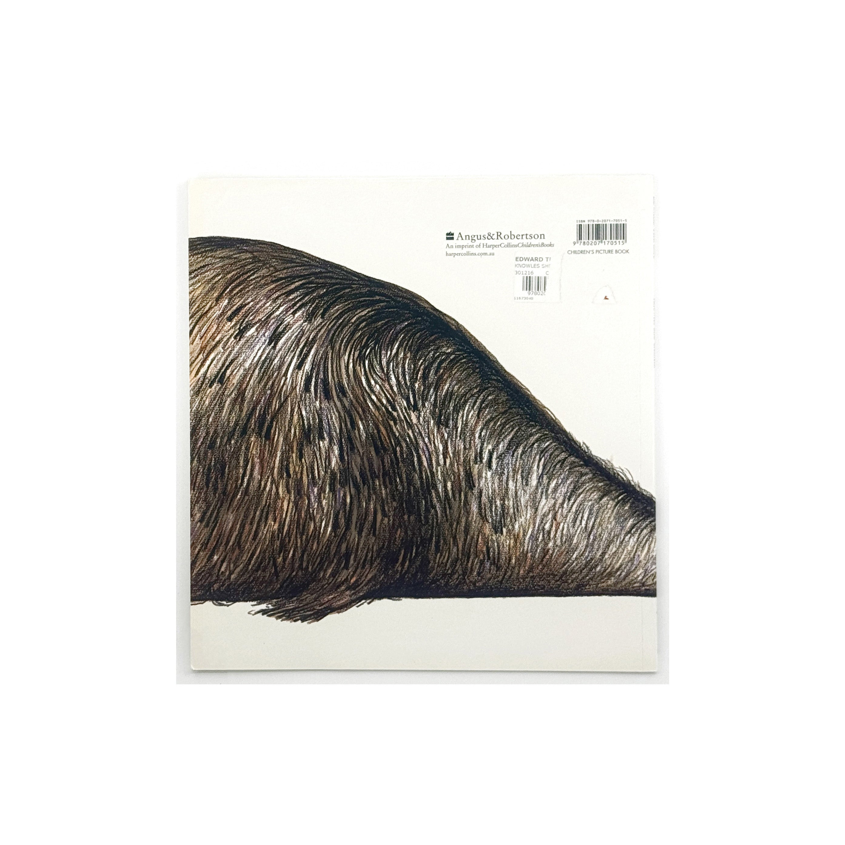 Edward the Emu by Sheena Knowles – Little Modern Reader