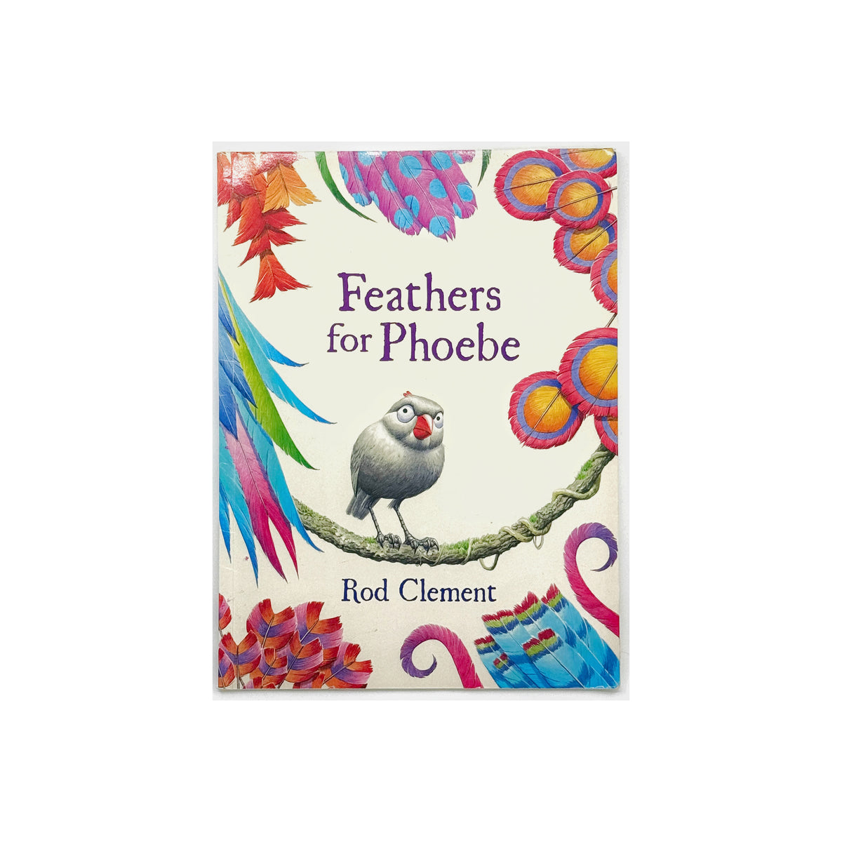 Feathers for Phoebe by Rod Clement – Little Modern Reader